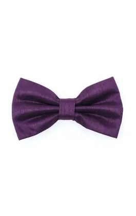 Dark Purple Dupion Bow Tie | Dobell